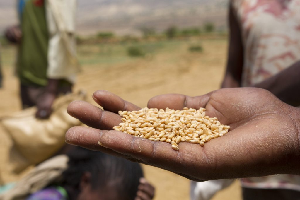 Predicting Drought-Related Food Insecurity in Ethiopia – The Centre for ...